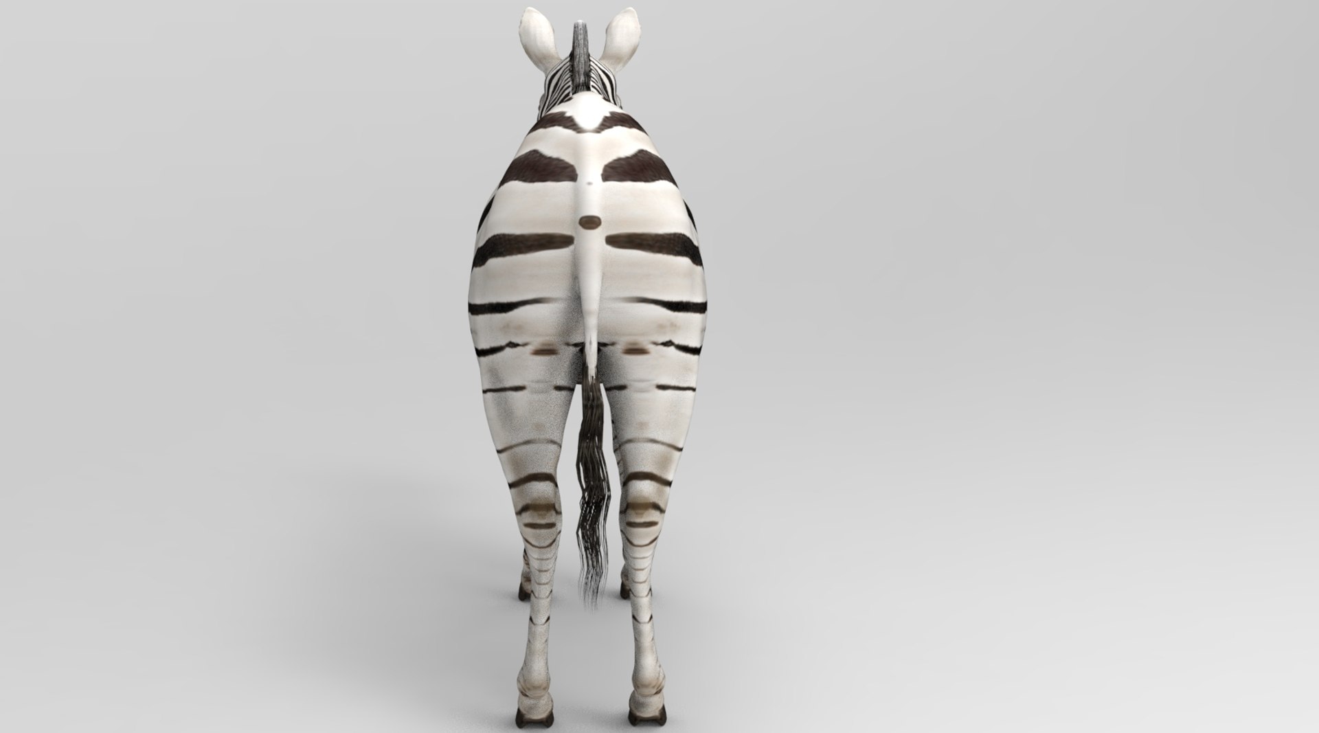 Zebra 3D model - TurboSquid 2110130