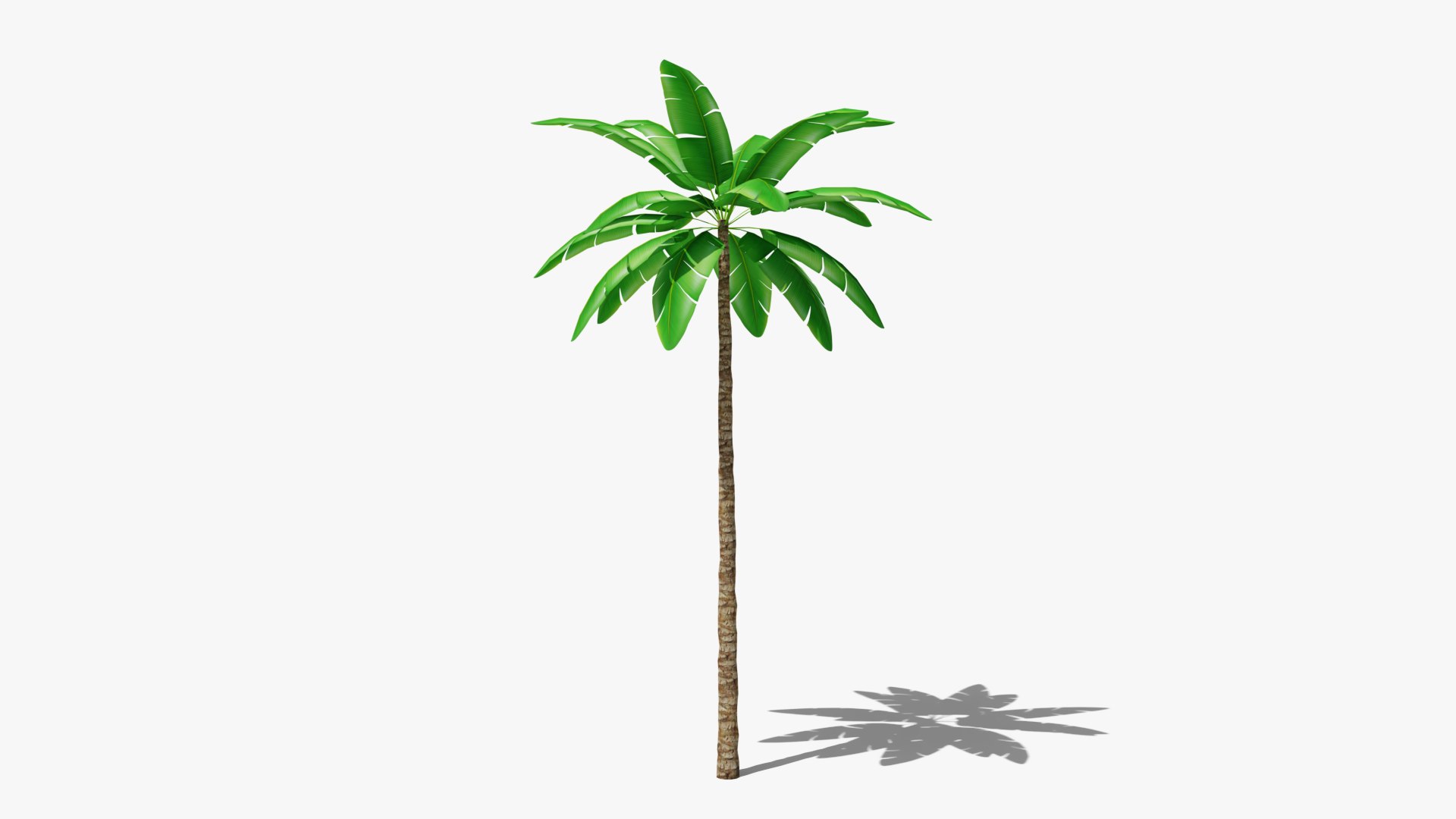 Stylized Cartoon Palm V1 3D Model - TurboSquid 2090005