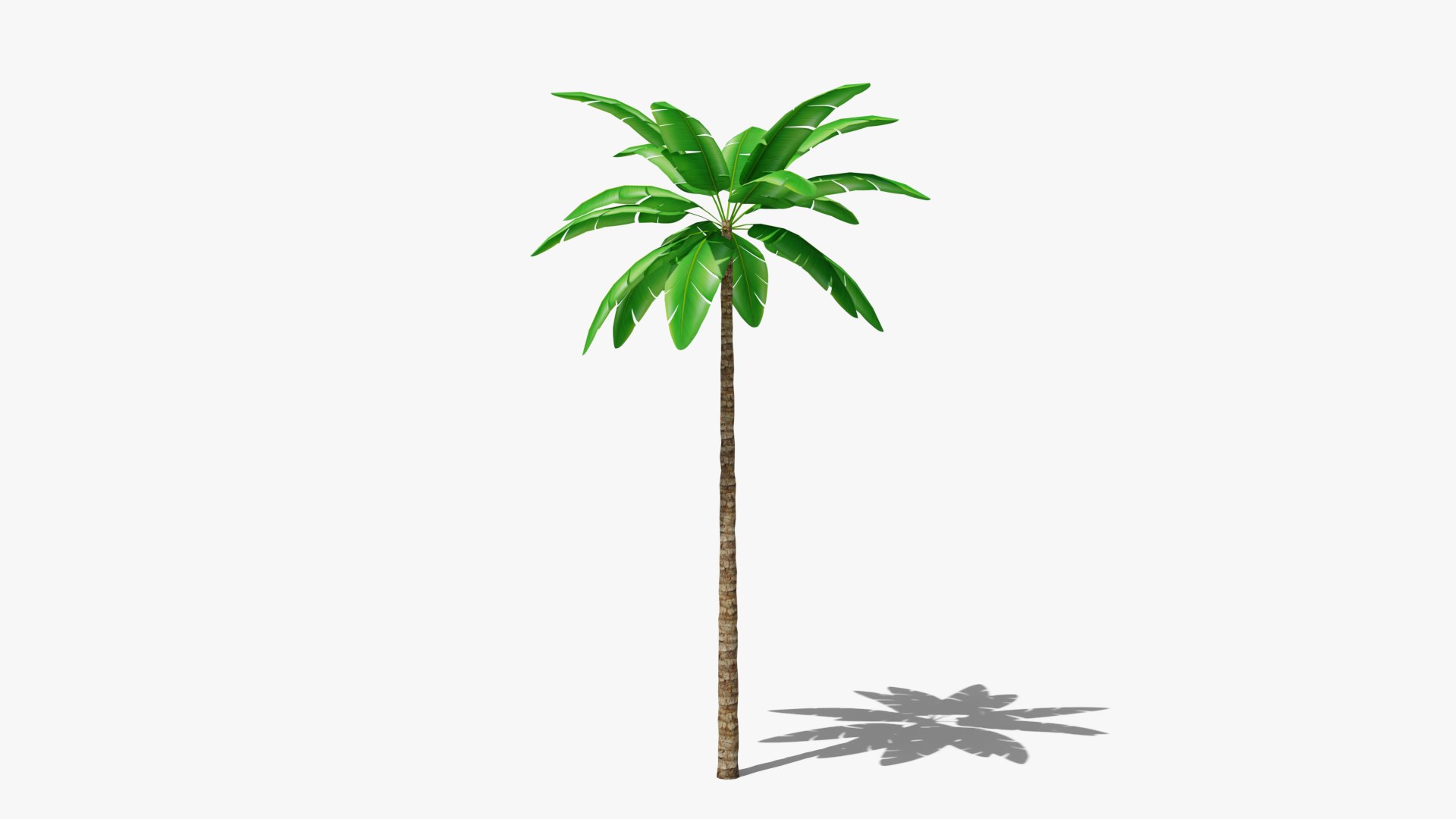 Stylized Cartoon Palm V1 3D Model - TurboSquid 2090005