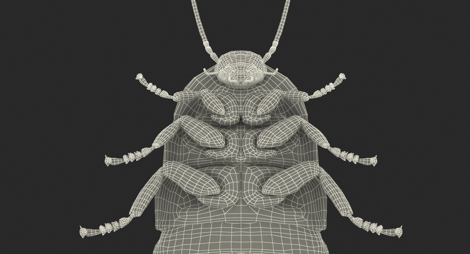 3D cockroaches rigged model - TurboSquid 1519389