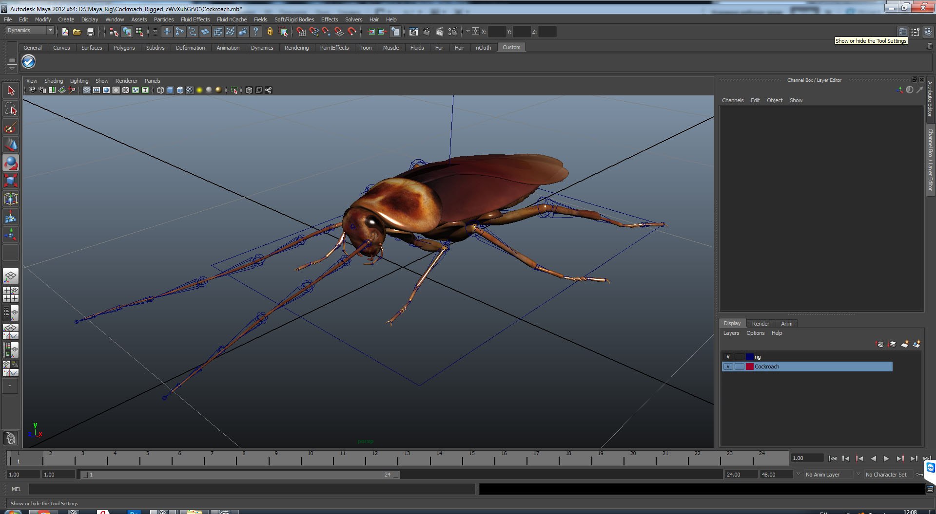 3D cockroaches rigged model - TurboSquid 1519389