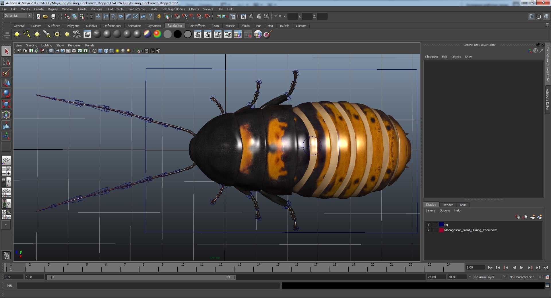 3D cockroaches rigged model - TurboSquid 1519389