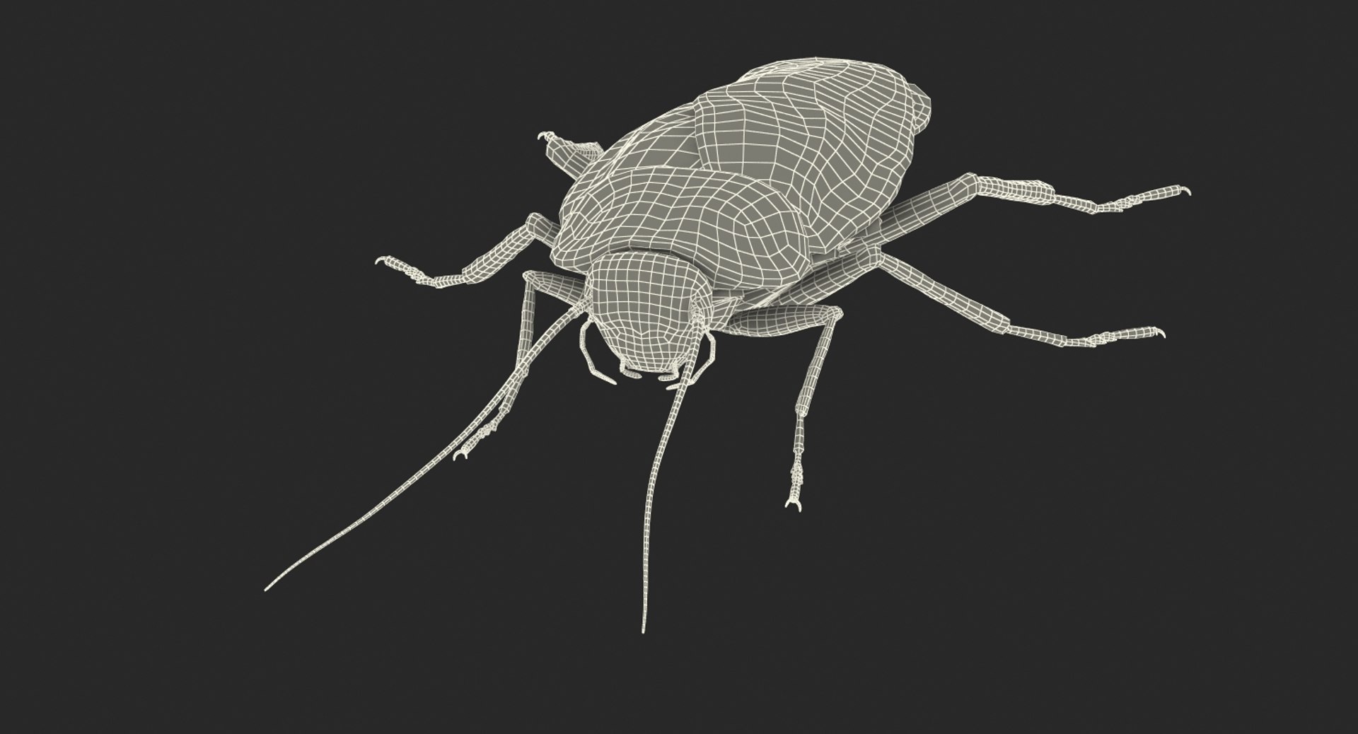 3D cockroaches rigged model - TurboSquid 1519389