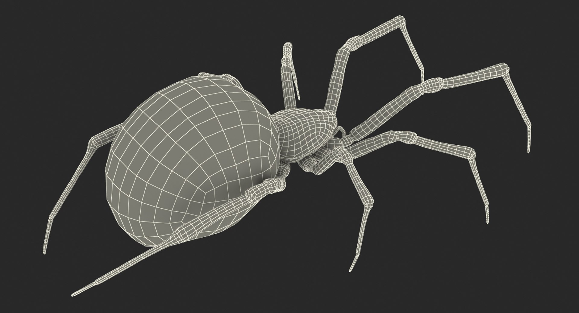 3D spiders 2 model - TurboSquid 1327251