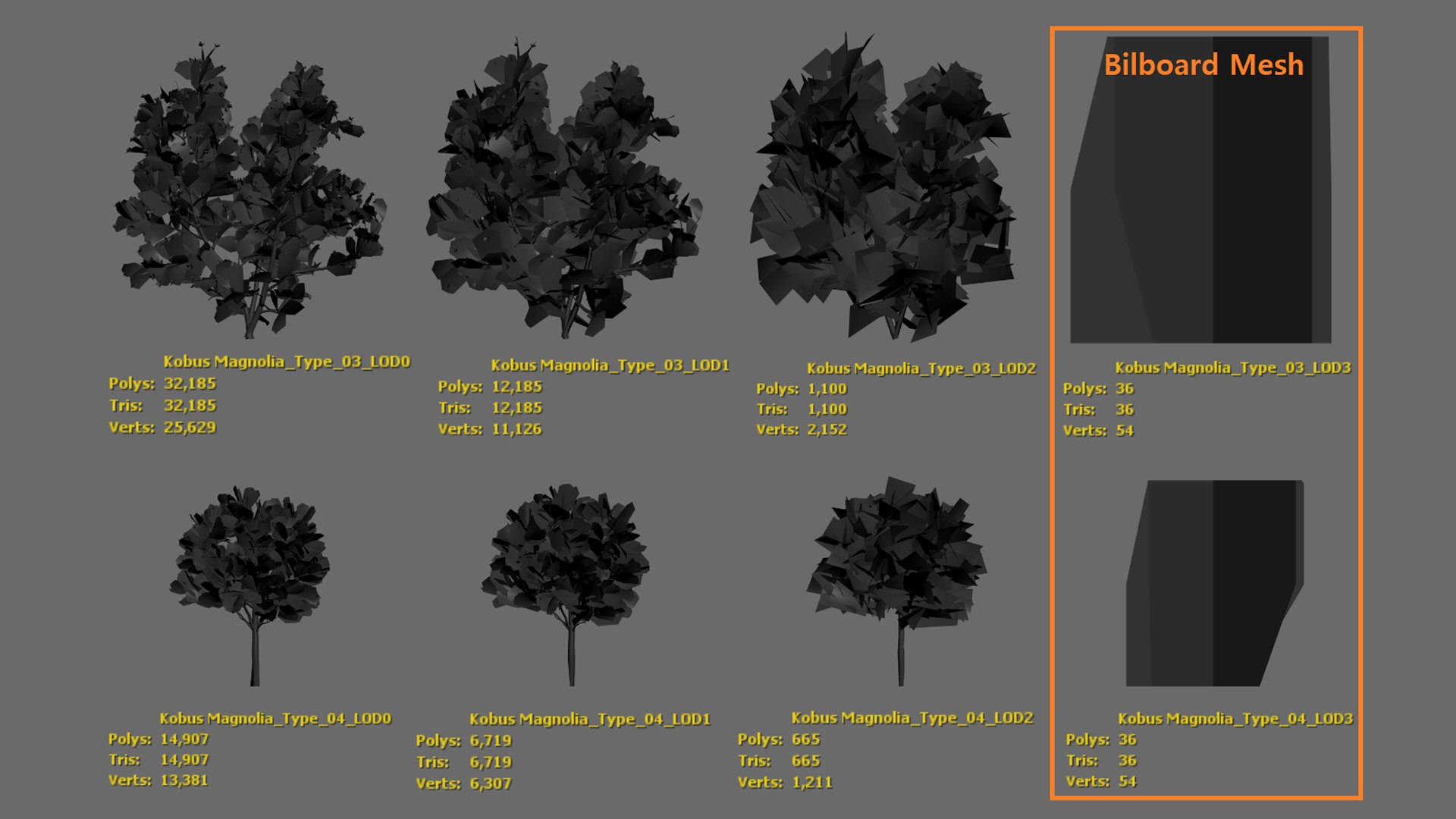 4 Kobus Magnolia Tree Plant Model II Game Ready Model II LOD Model - TurboSquid 2322288