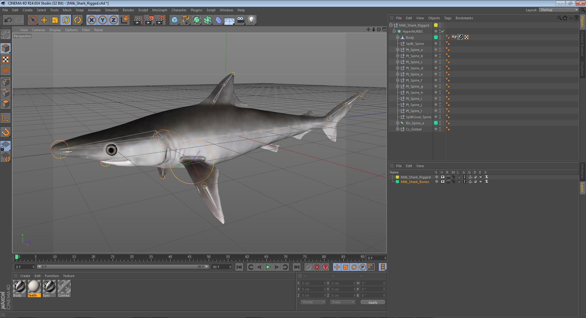 3D rigged sharks 5 - TurboSquid 1514111