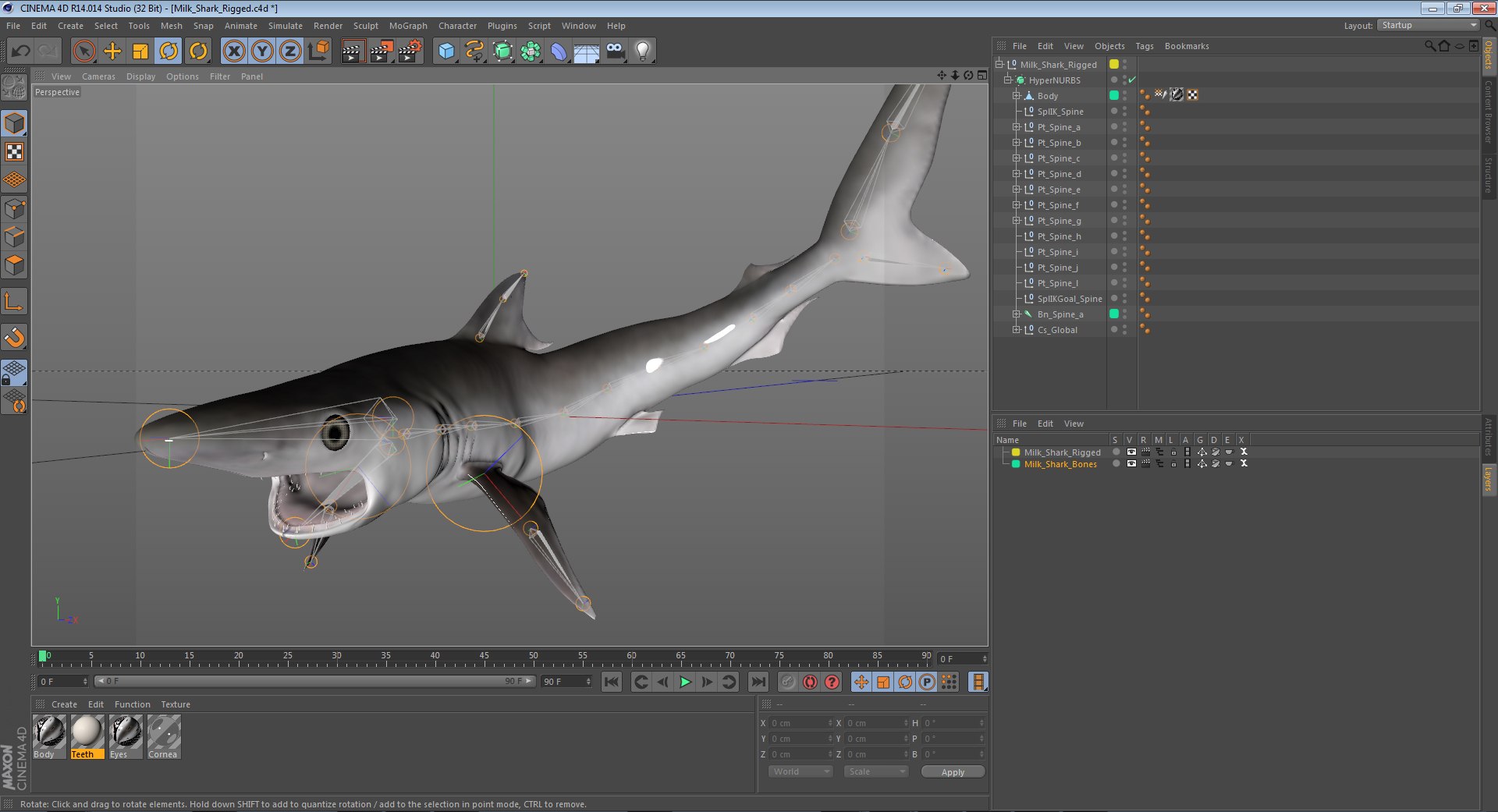 3D rigged sharks 5 - TurboSquid 1514111