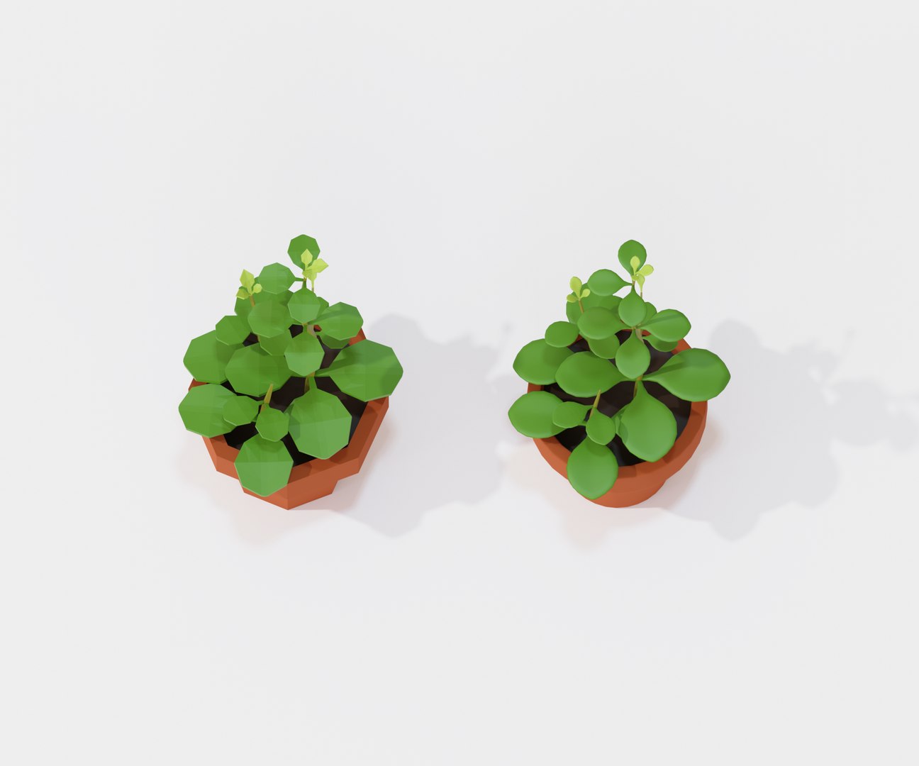 3D Cartoon Indoor Plant Model - TurboSquid 1810422
