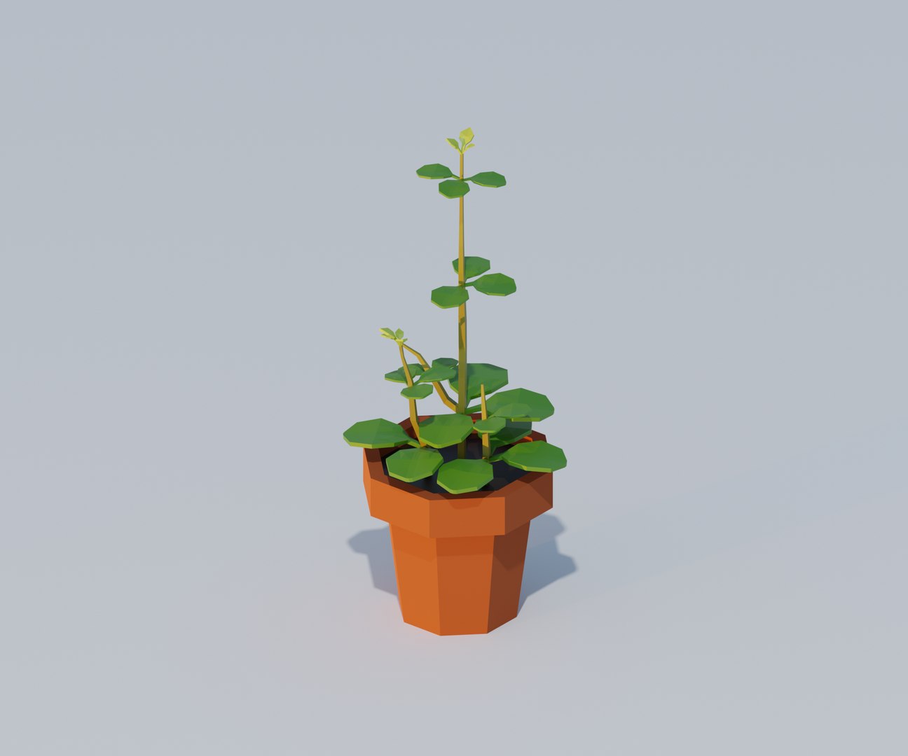 3D Cartoon Indoor Plant Model - TurboSquid 1810422