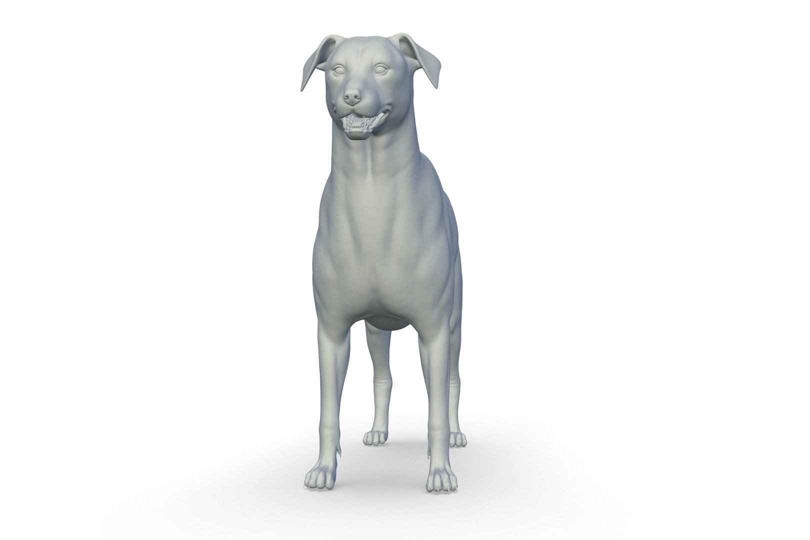 3D Border Collie - TurboSquid 2214002