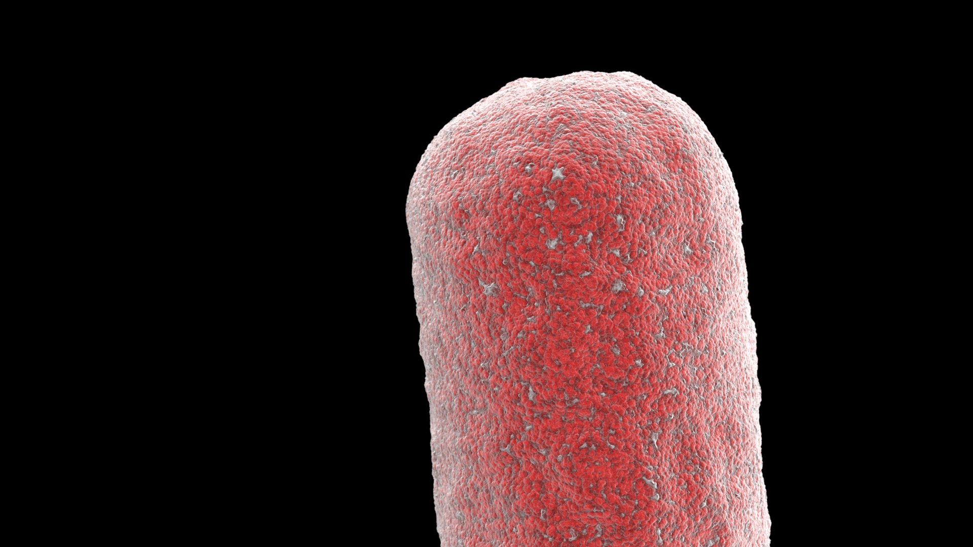 3D Model Bacteria Bacillus - TurboSquid 1678802