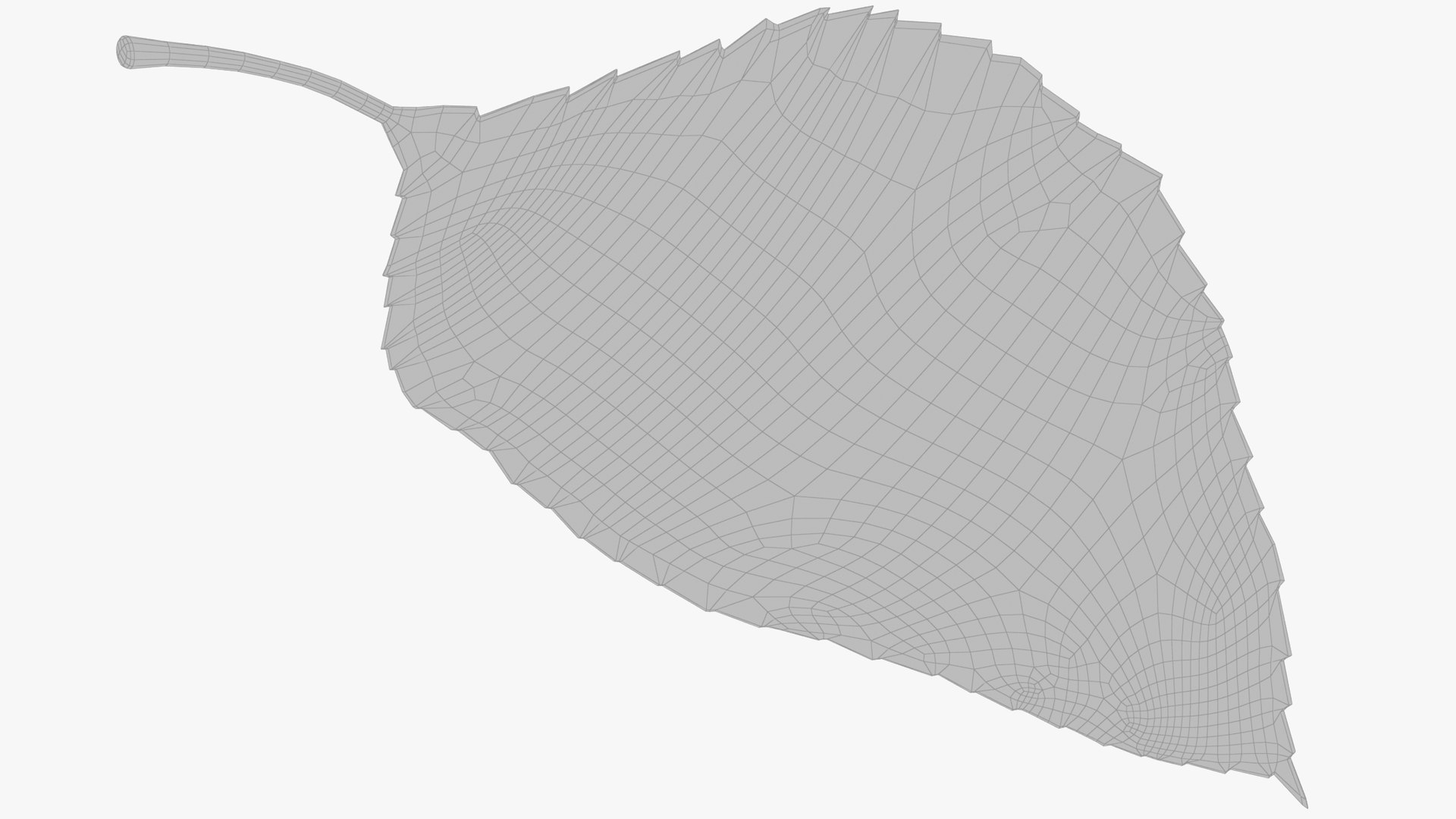 3D Birch Leaf V2 model - TurboSquid 1788040