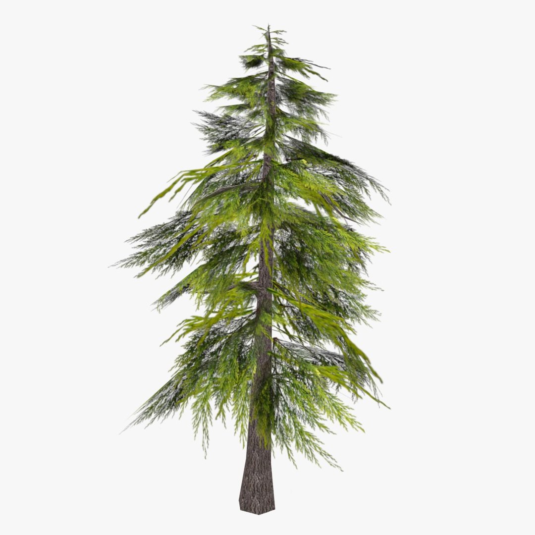 pine tree obj