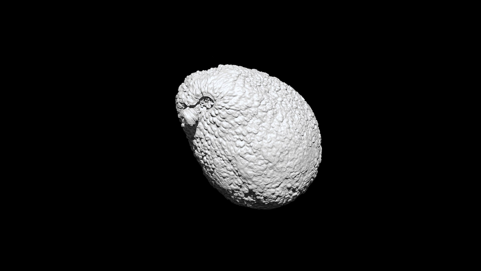 Avocado 3D CT Scan Model Decimate 50 Percent 3D Model - TurboSquid 1932355