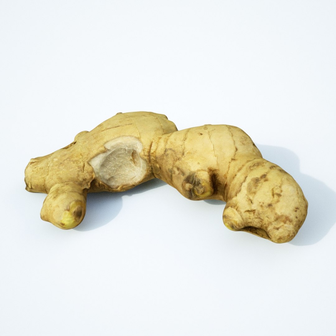 Ginger Model - TurboSquid 1381743