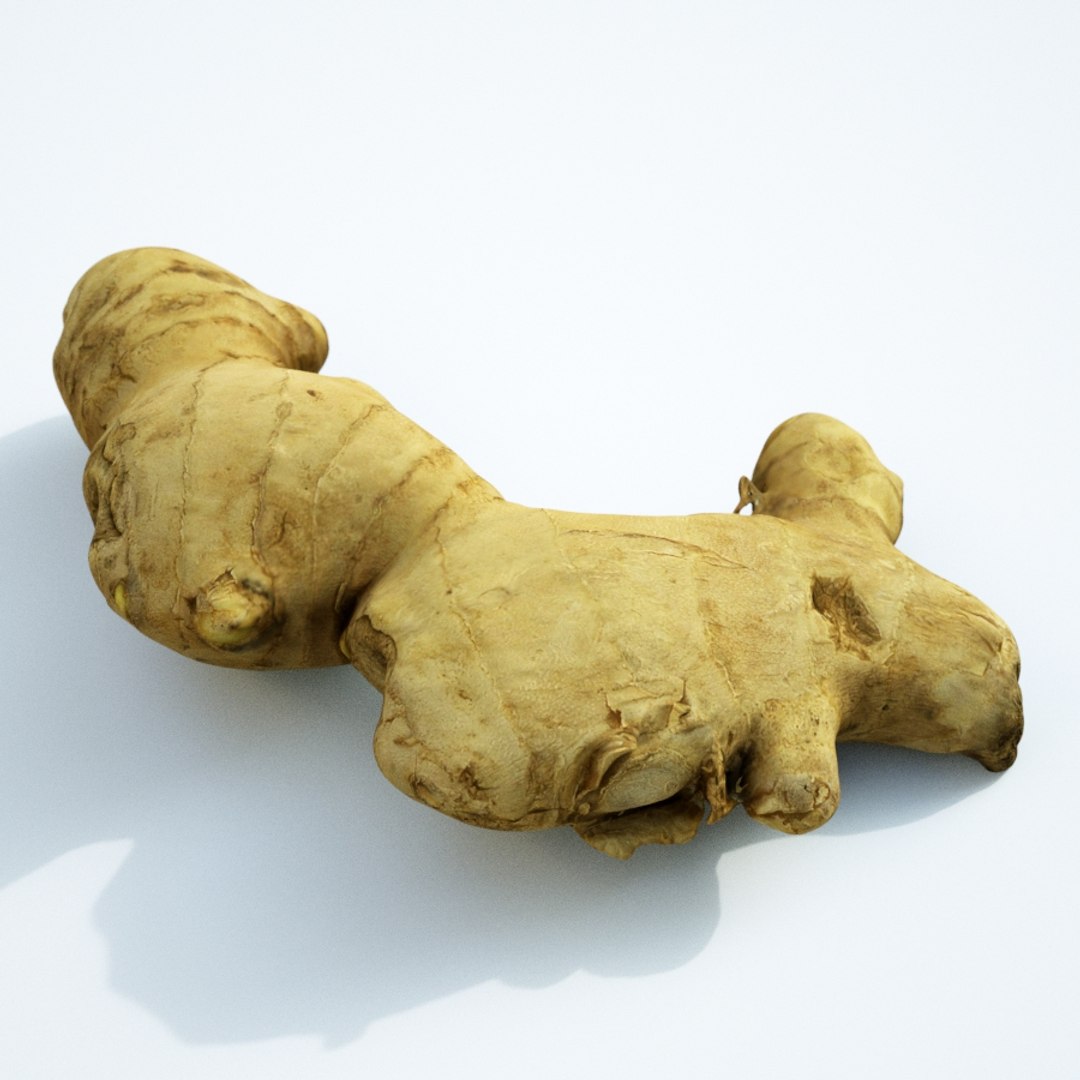 Ginger Model - TurboSquid 1381743
