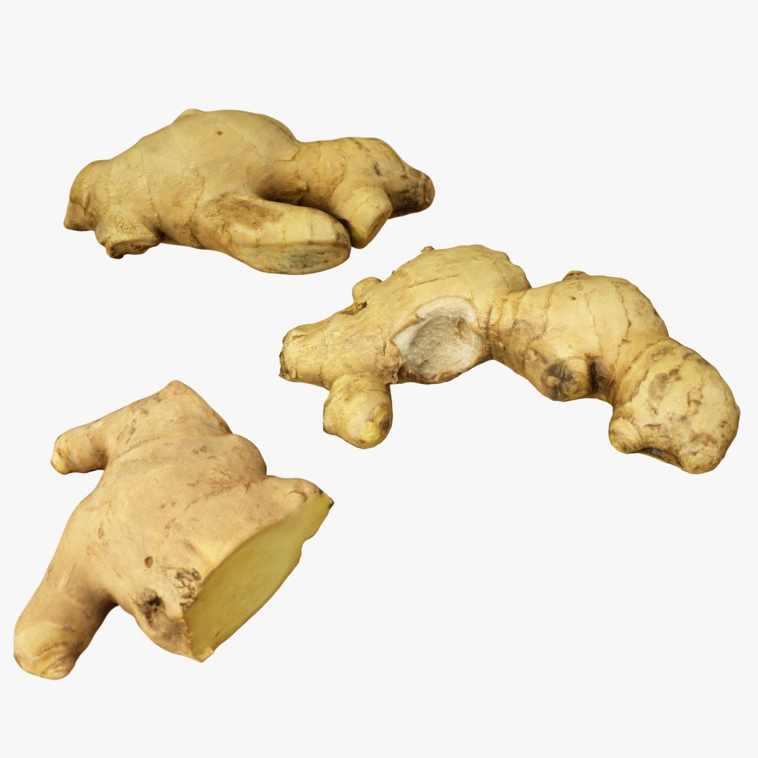 Ginger Model - TurboSquid 1381743