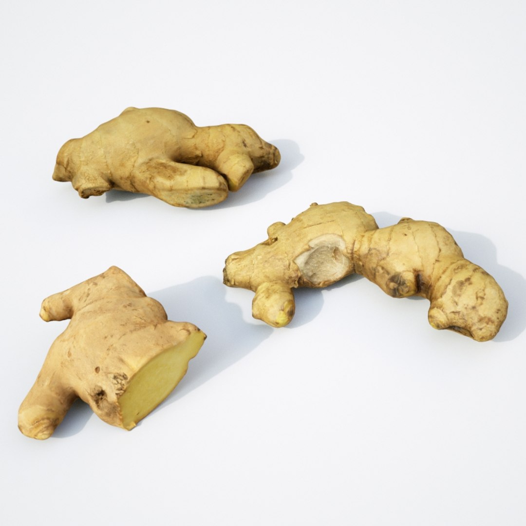 Ginger Model - TurboSquid 1381743