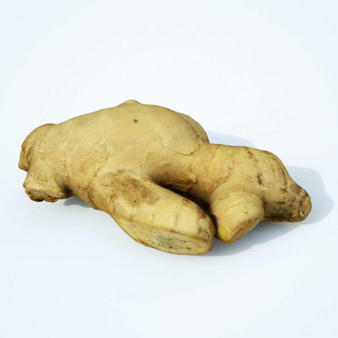 Ginger Model - TurboSquid 1381743