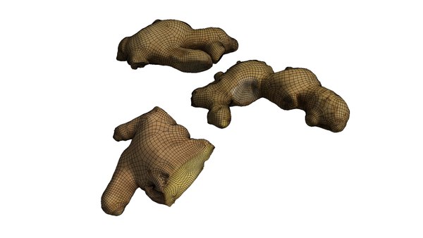 Ginger model - TurboSquid 1381743