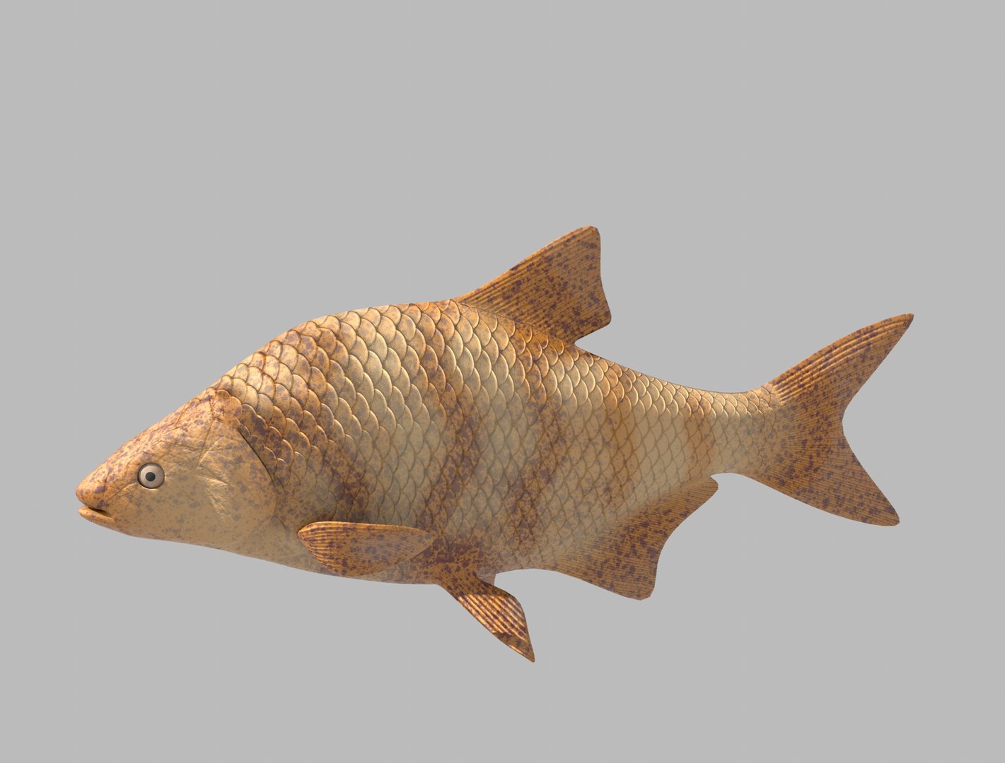 3D fish rigged - TurboSquid 1441965