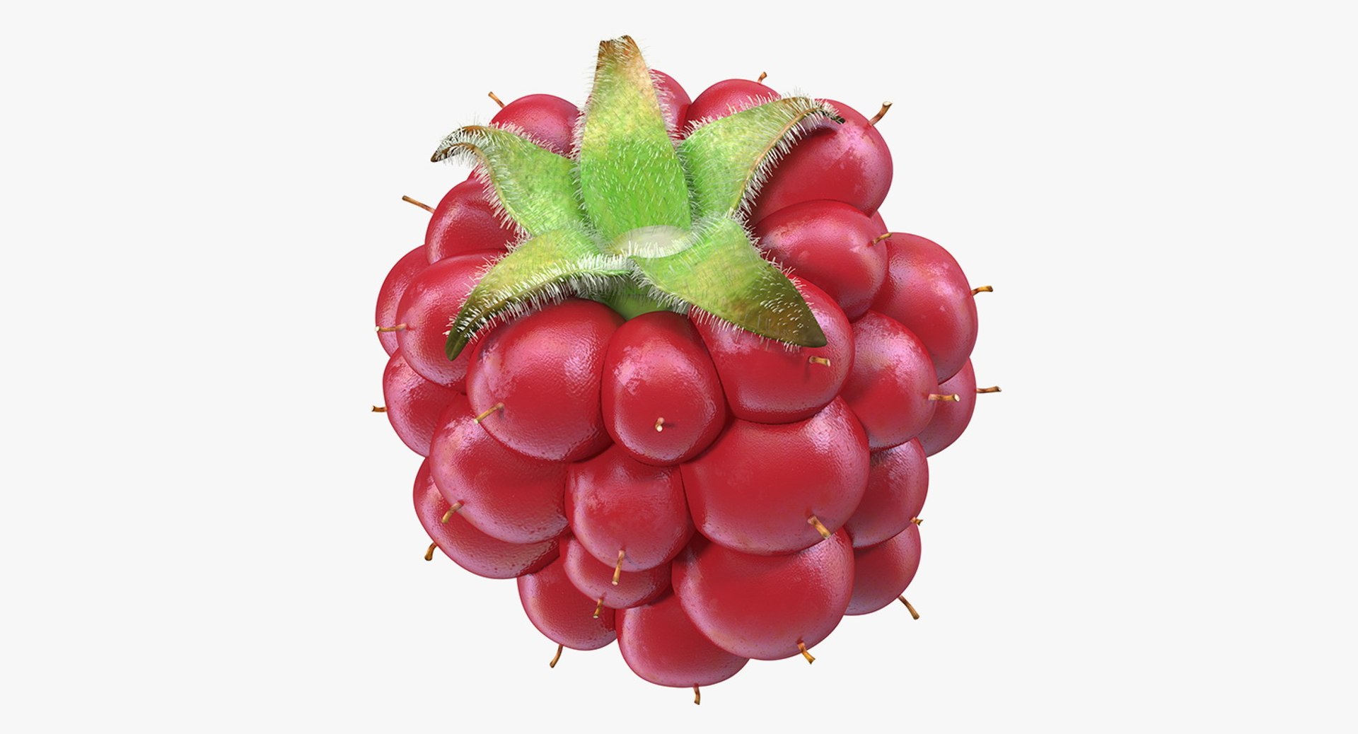 Ripe Berry Blackberry Fur 3D Model - TurboSquid 1380408