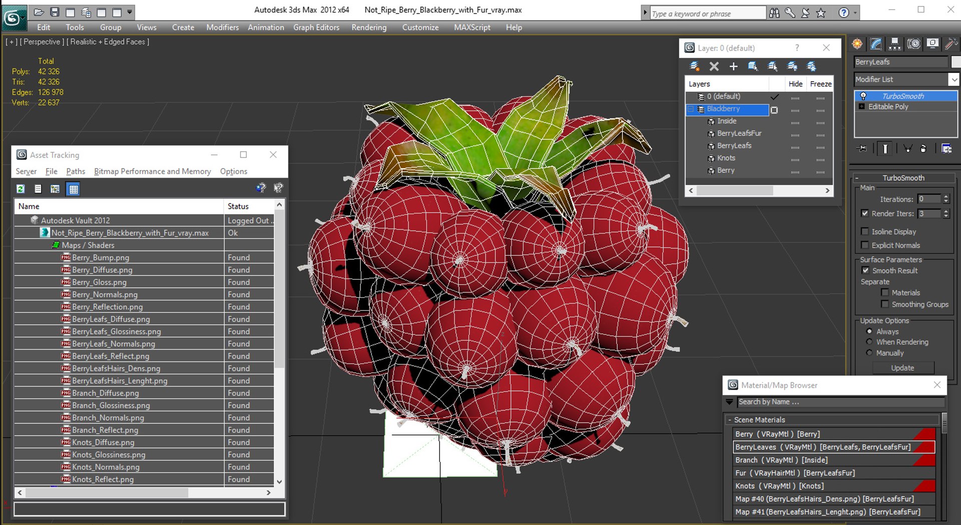 Ripe Berry Blackberry Fur 3D Model - TurboSquid 1380408