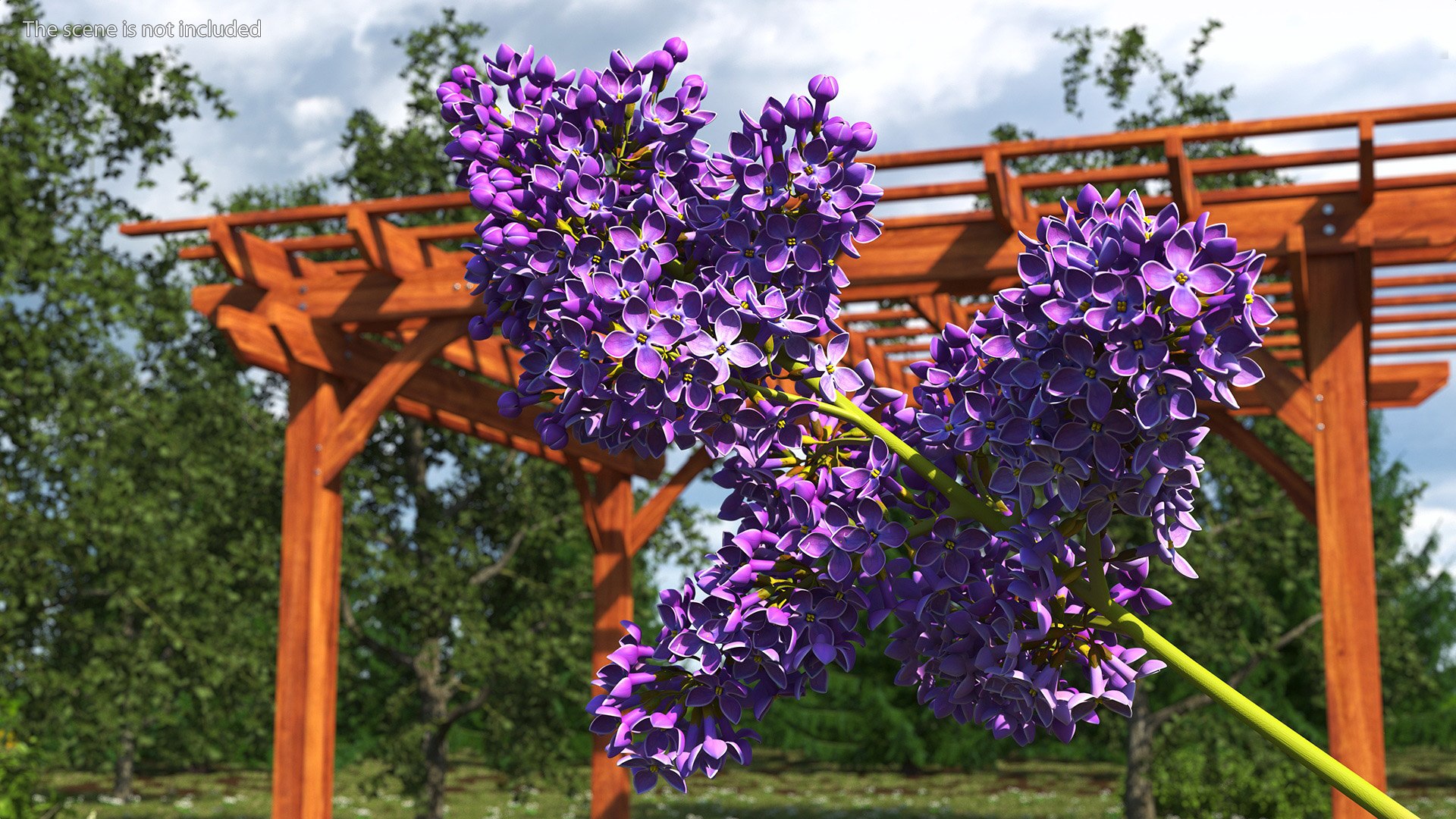Purple Lilac Branch Model - TurboSquid 2145598