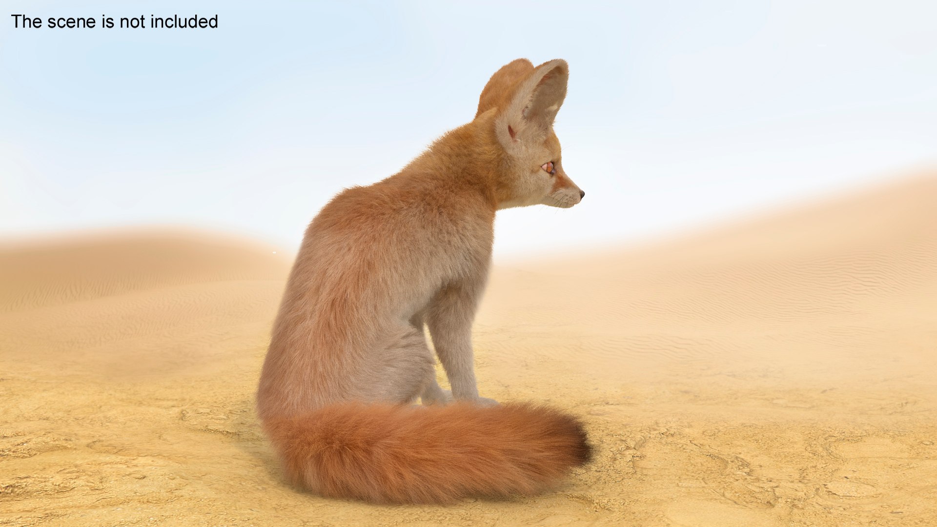 Vulpes Zerda Sitting Pose Fur 3D Model - TurboSquid 2185692