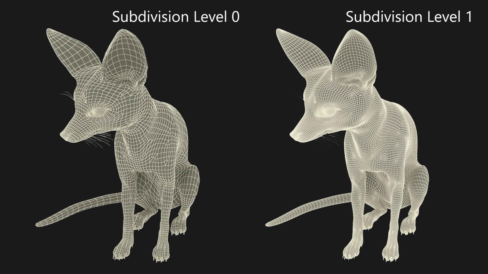 Vulpes Zerda Sitting Pose Fur 3D Model - TurboSquid 2185692
