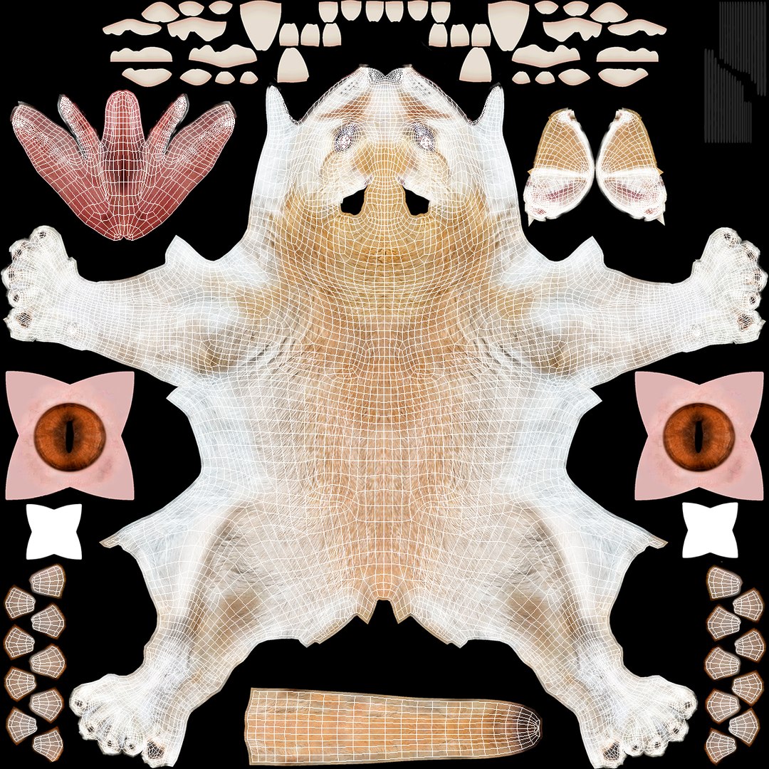 Vulpes Zerda Sitting Pose Fur 3D Model - TurboSquid 2185692