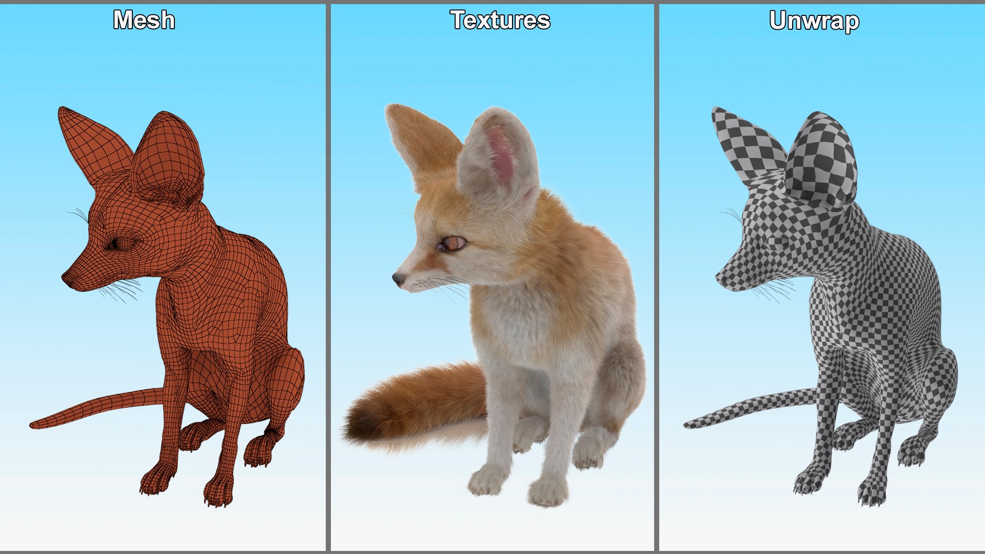 Vulpes Zerda Sitting Pose Fur 3D Model - TurboSquid 2185692