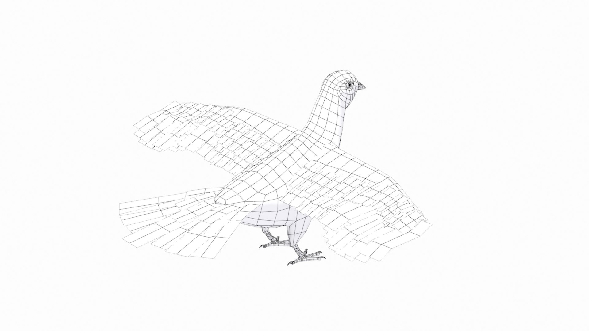 3D DoveRigged Model - TurboSquid 2142024