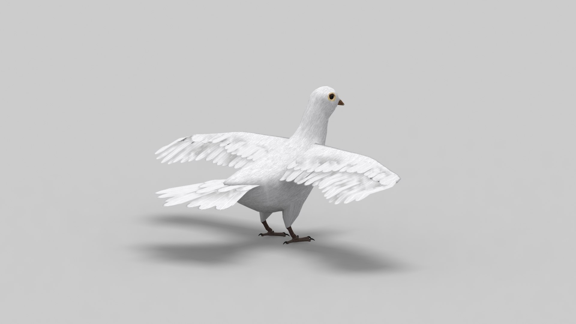 3D DoveRigged Model - TurboSquid 2142024