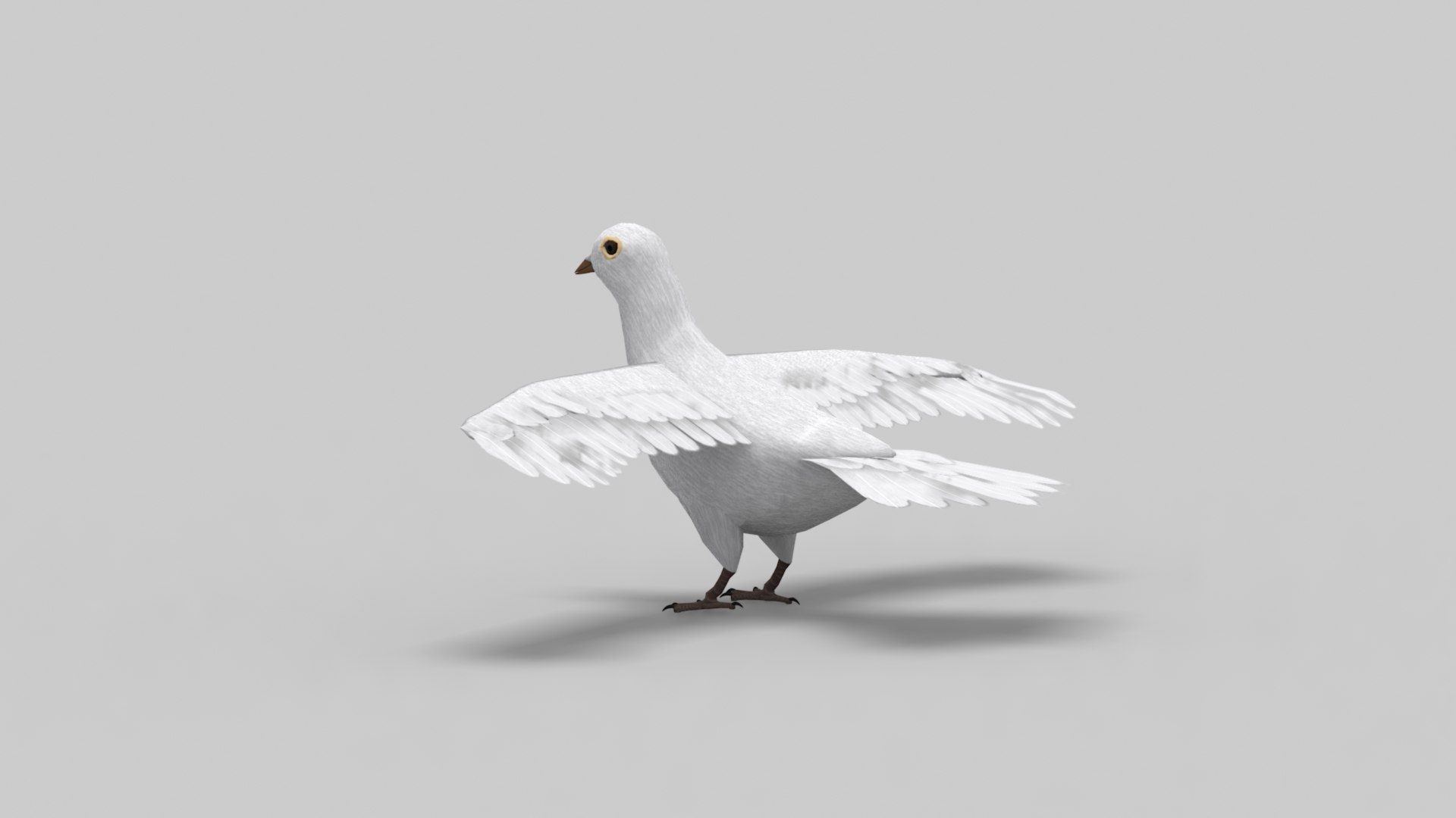 3D DoveRigged Model - TurboSquid 2142024