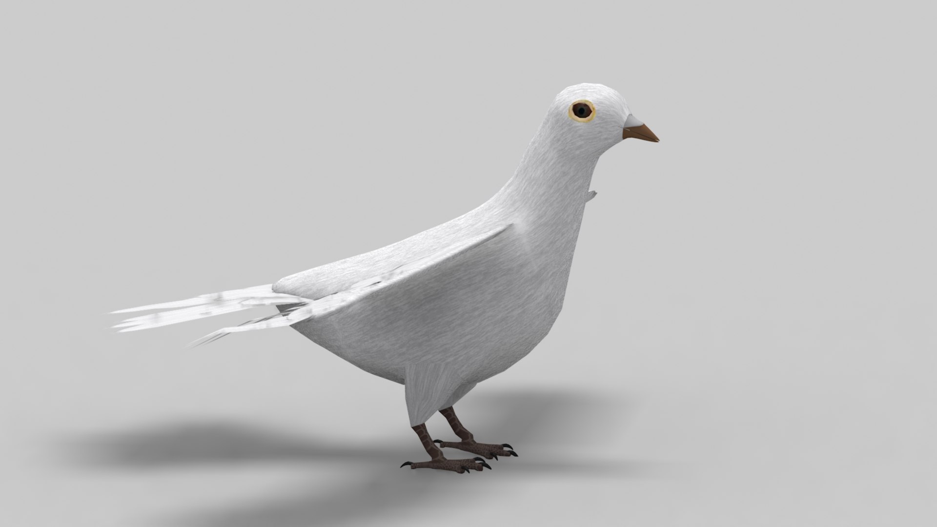 3D DoveRigged Model - TurboSquid 2142024