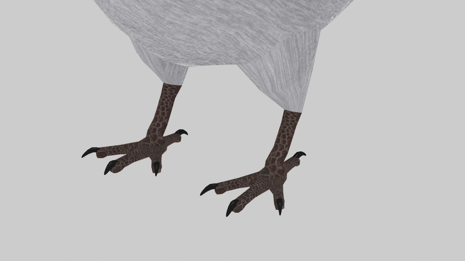 3D DoveRigged Model - TurboSquid 2142024