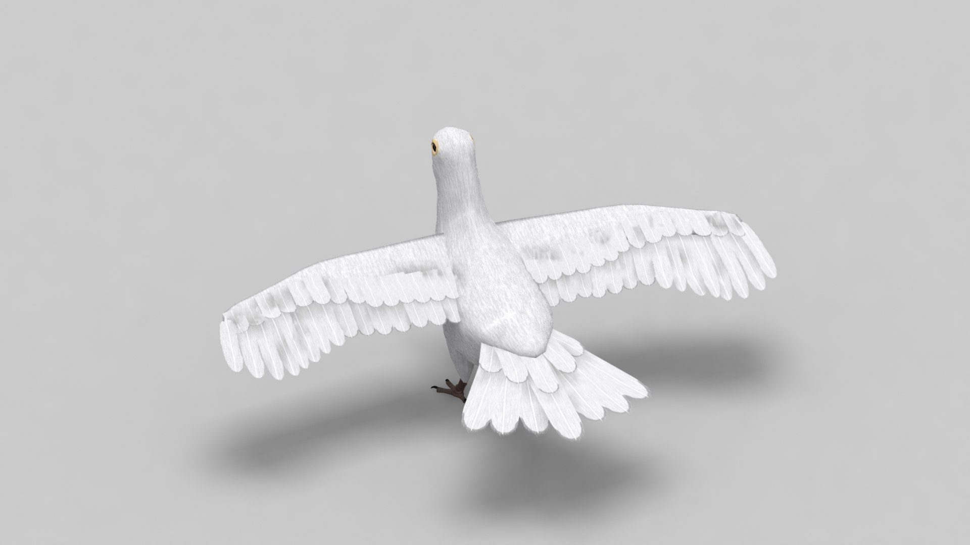3D DoveRigged Model - TurboSquid 2142024