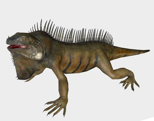 modelo 3d Iguana Low Poly - TurboSquid 1449901