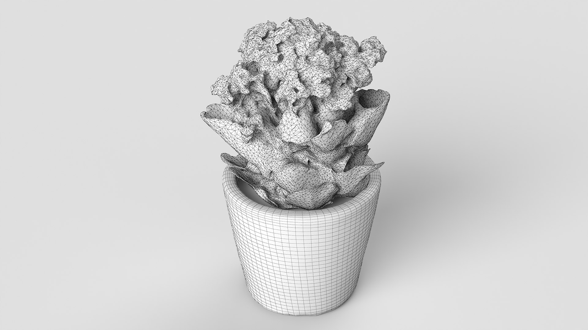 3D Model Pot Plant 05 - TurboSquid 1941776