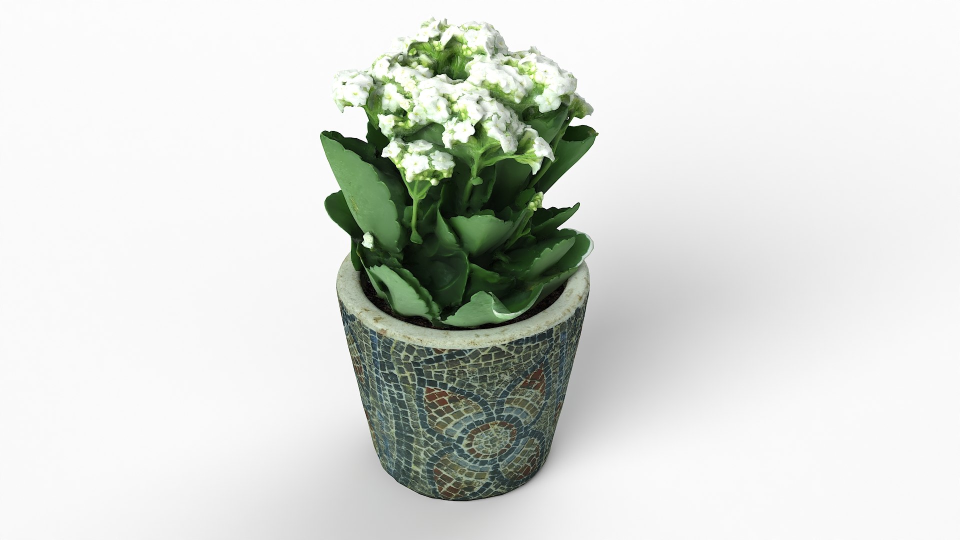 3D Model Pot Plant 05 - TurboSquid 1941776
