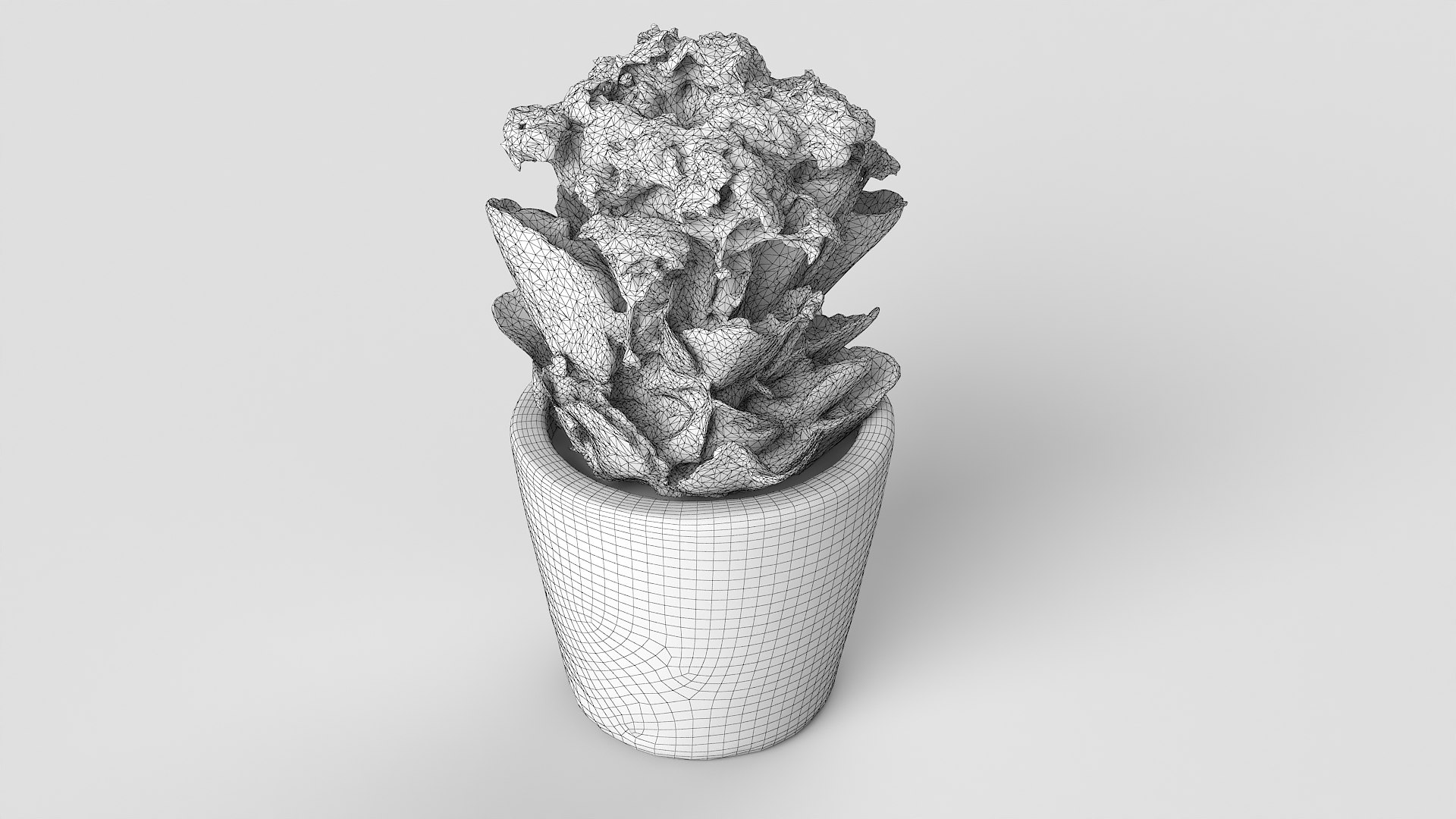 3D Model Pot Plant 05 - TurboSquid 1941776