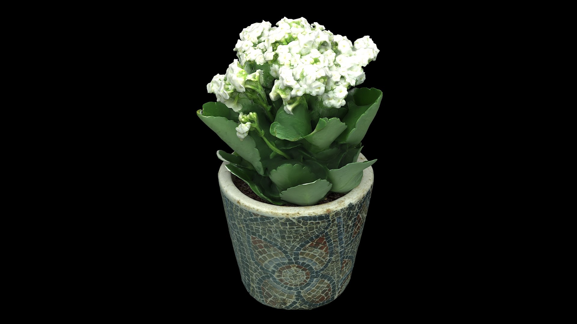 3D Model Pot Plant 05 - TurboSquid 1941776