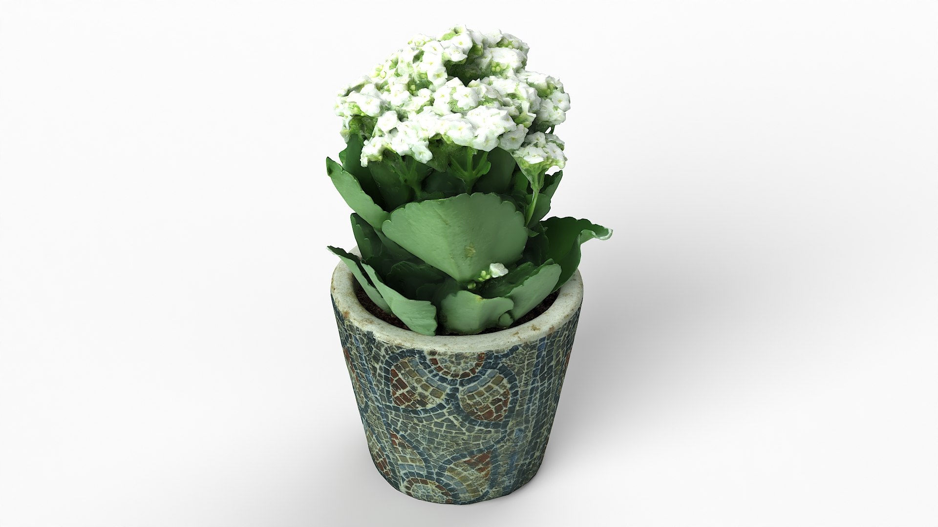 3D Model Pot Plant 05 - TurboSquid 1941776
