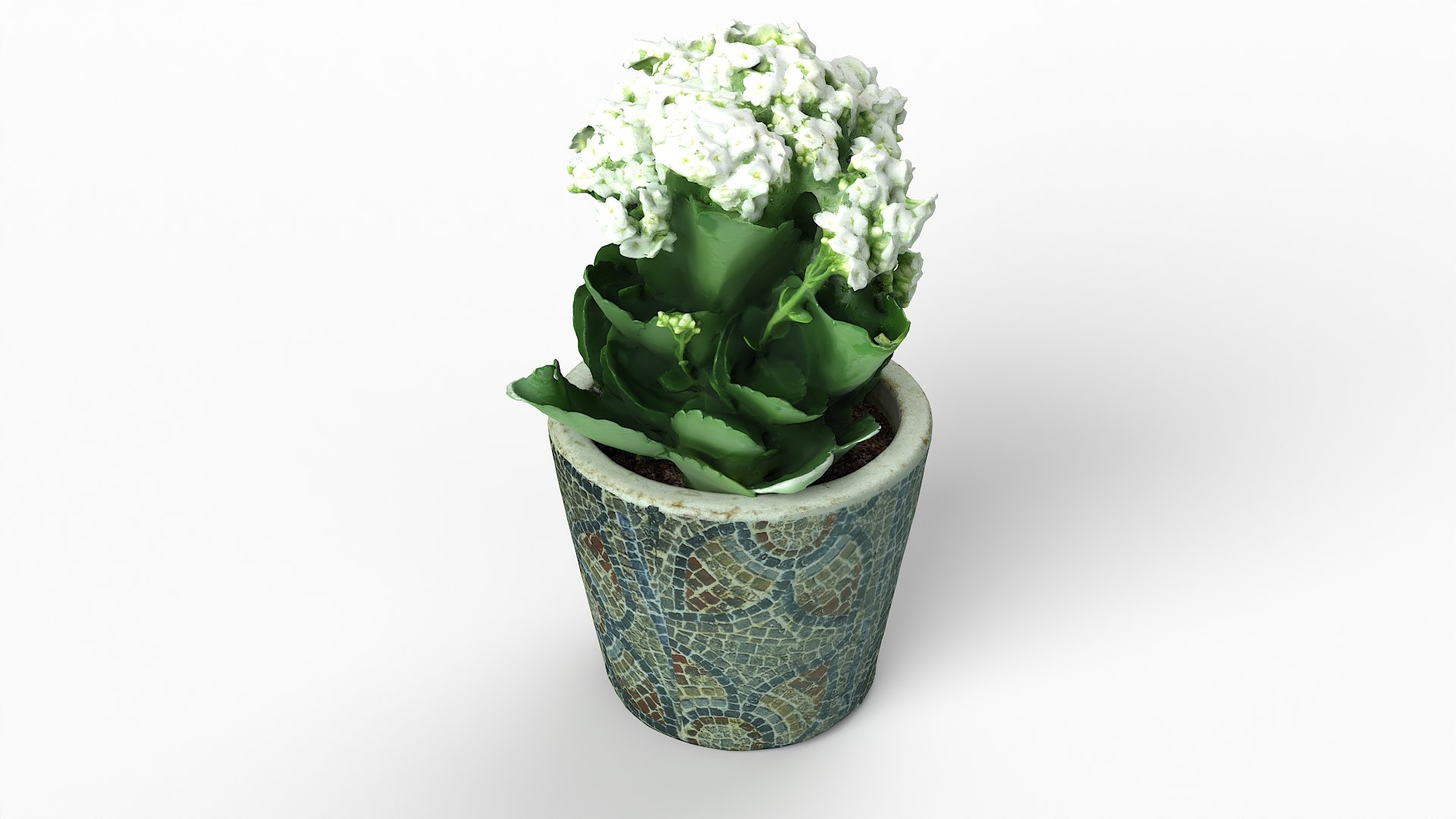 3D Model Pot Plant 05 - TurboSquid 1941776