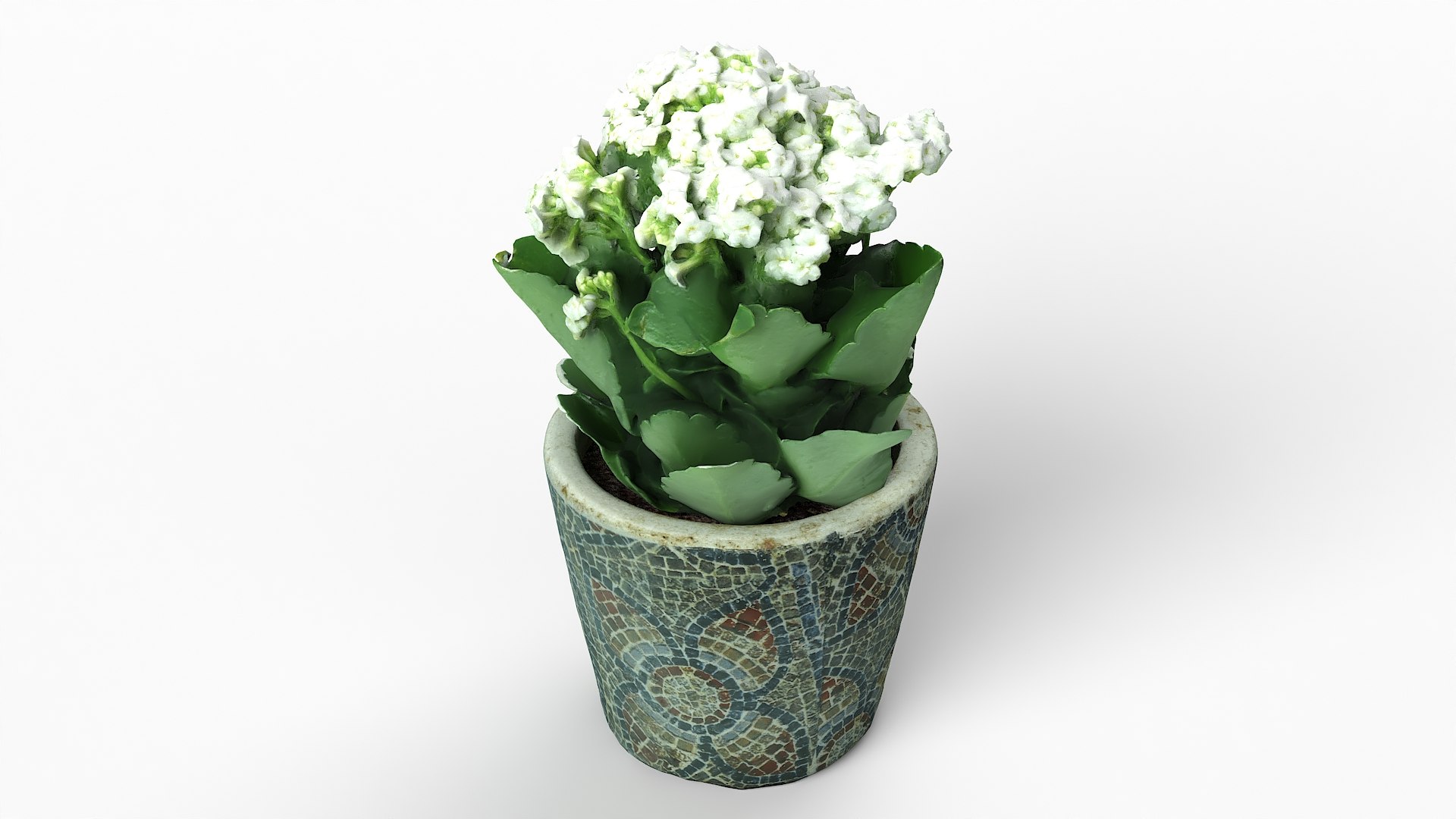 3D Model Pot Plant 05 - TurboSquid 1941776