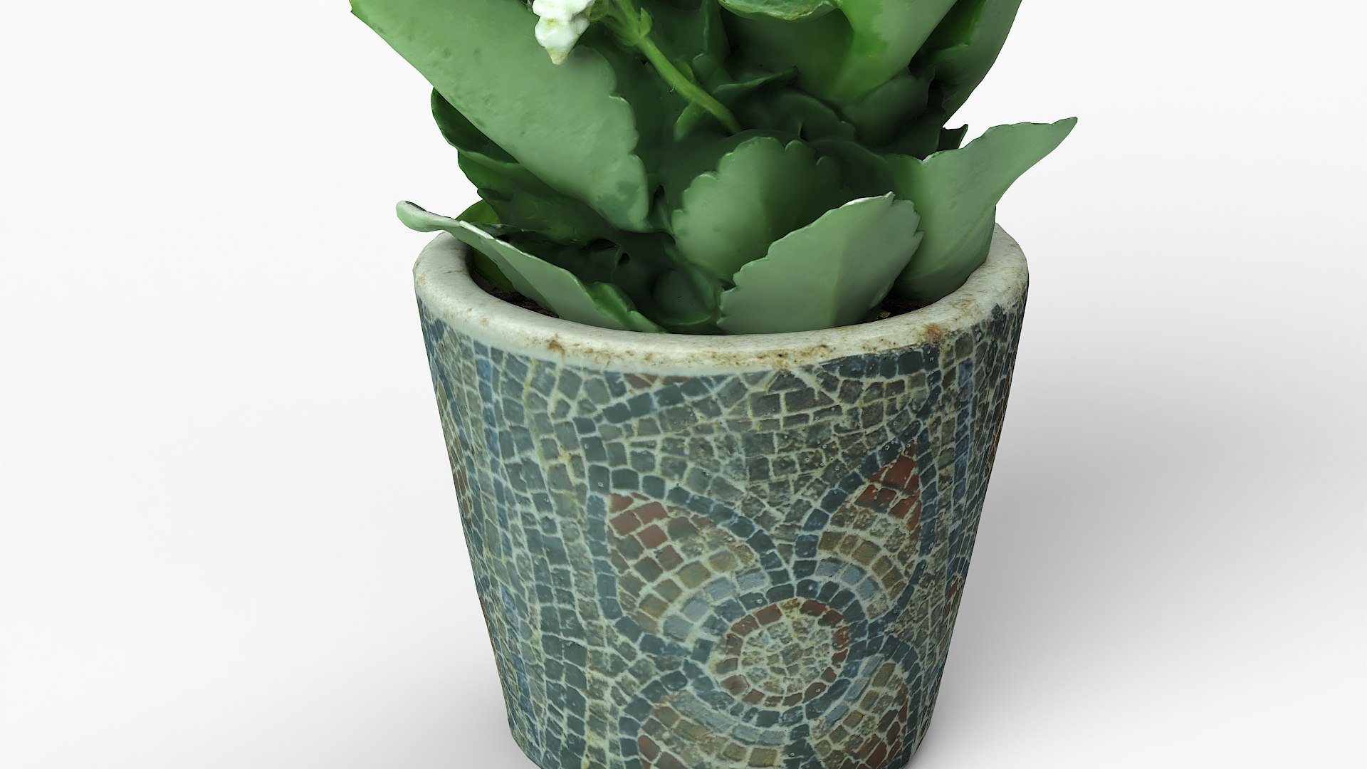 3D Model Pot Plant 05 - TurboSquid 1941776