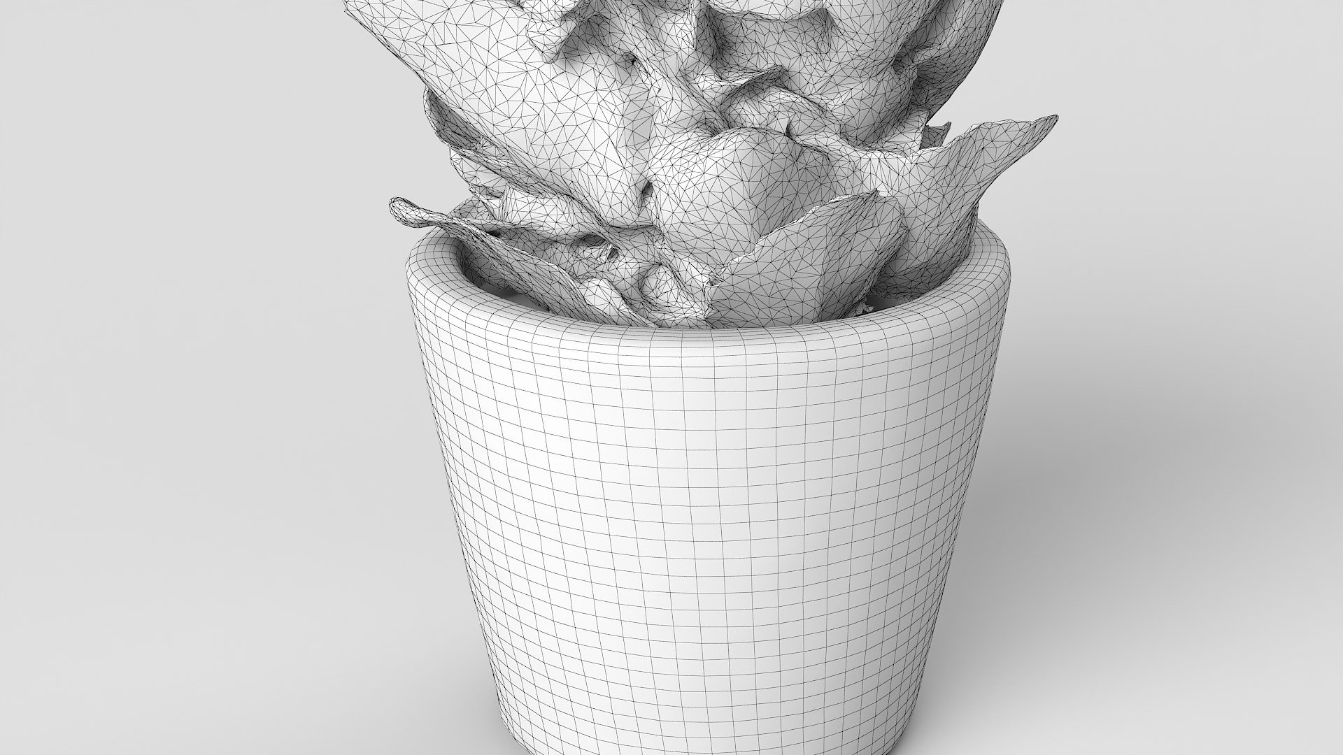 3D Model Pot Plant 05 - TurboSquid 1941776