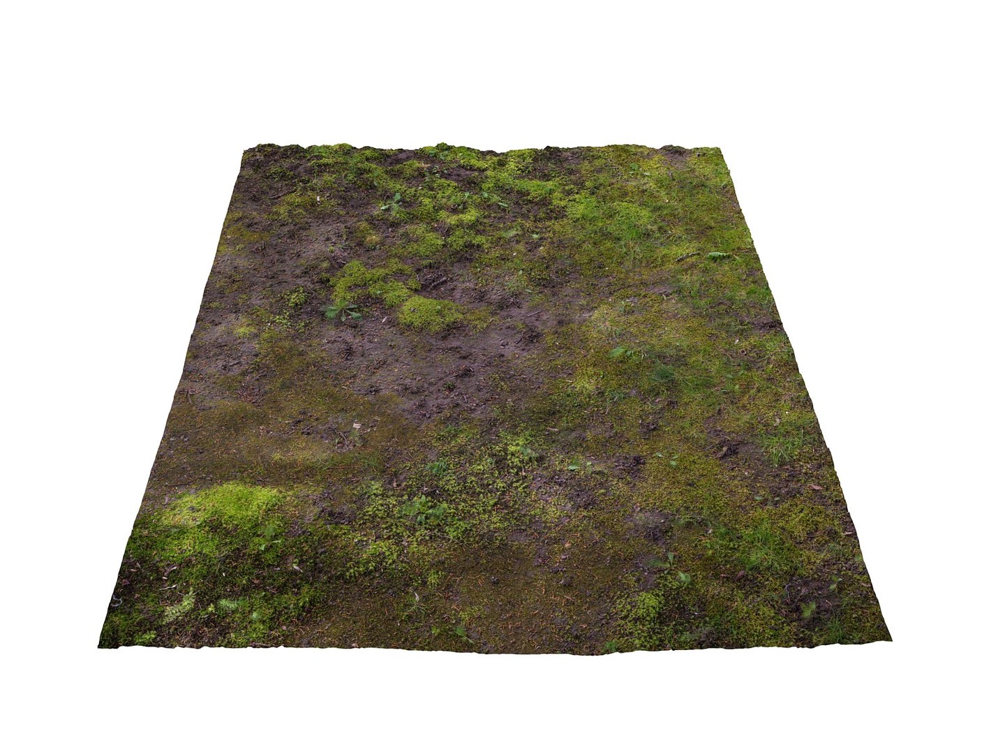 forest ground 16k hd 3d max