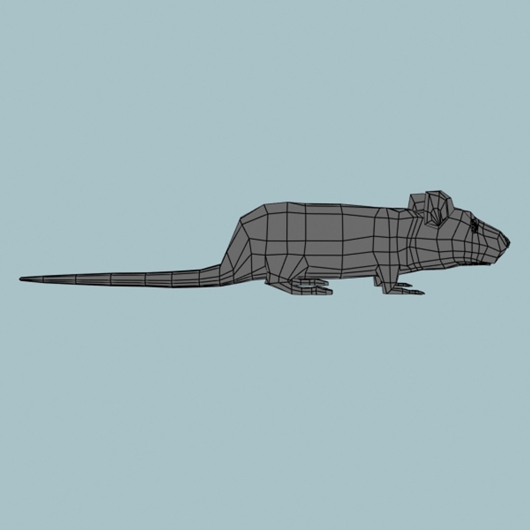 Maya Rat Games